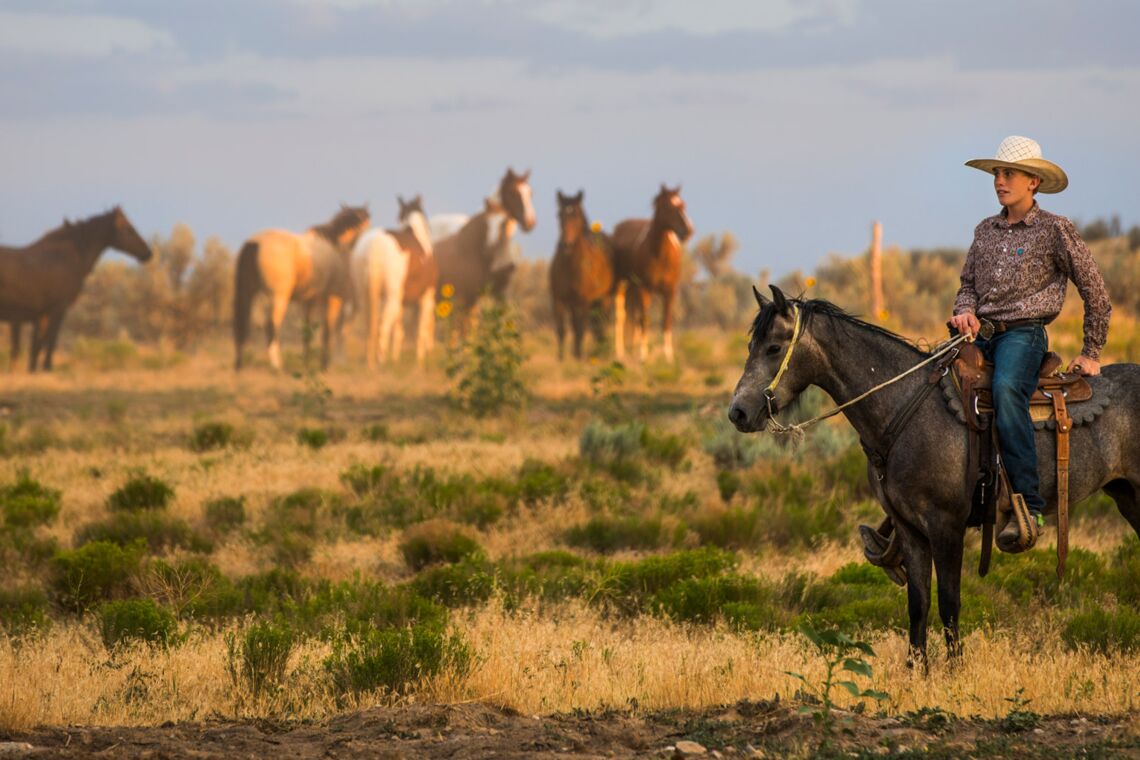 home - Study Work Travel