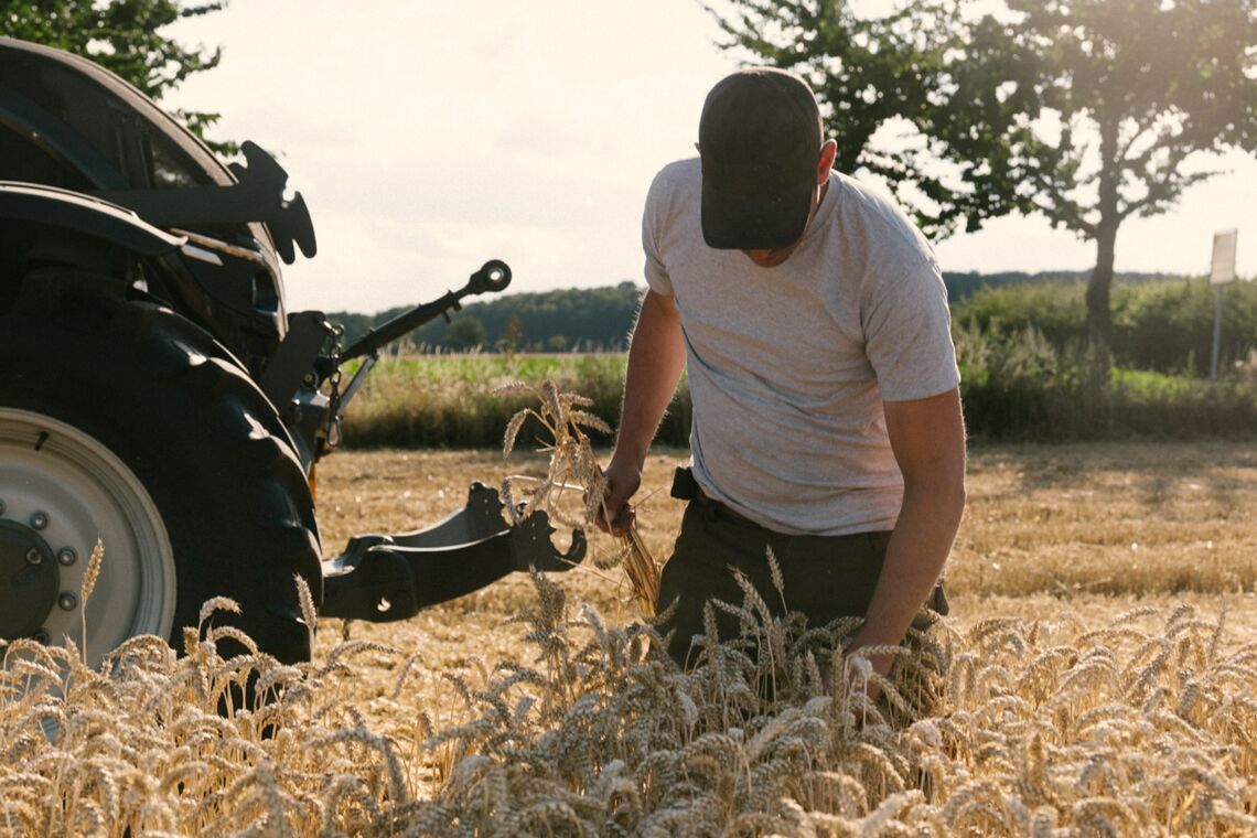 home - Study Work Travel