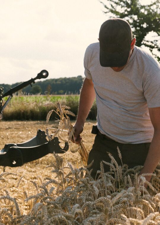 Arbeitsformen - Study Work Travel